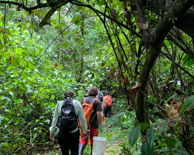 A Step Beyond the Comfort Zone: How Study Abroad Shaped Fulbright ...