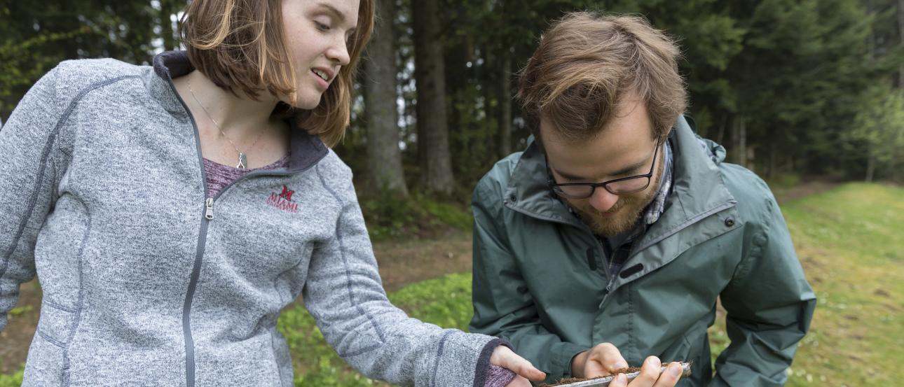 Environmental Studies & Sustainability | IES Abroad