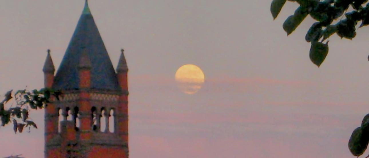 So You’ve Decided to Study Abroad (or Have You?) | IES Abroad