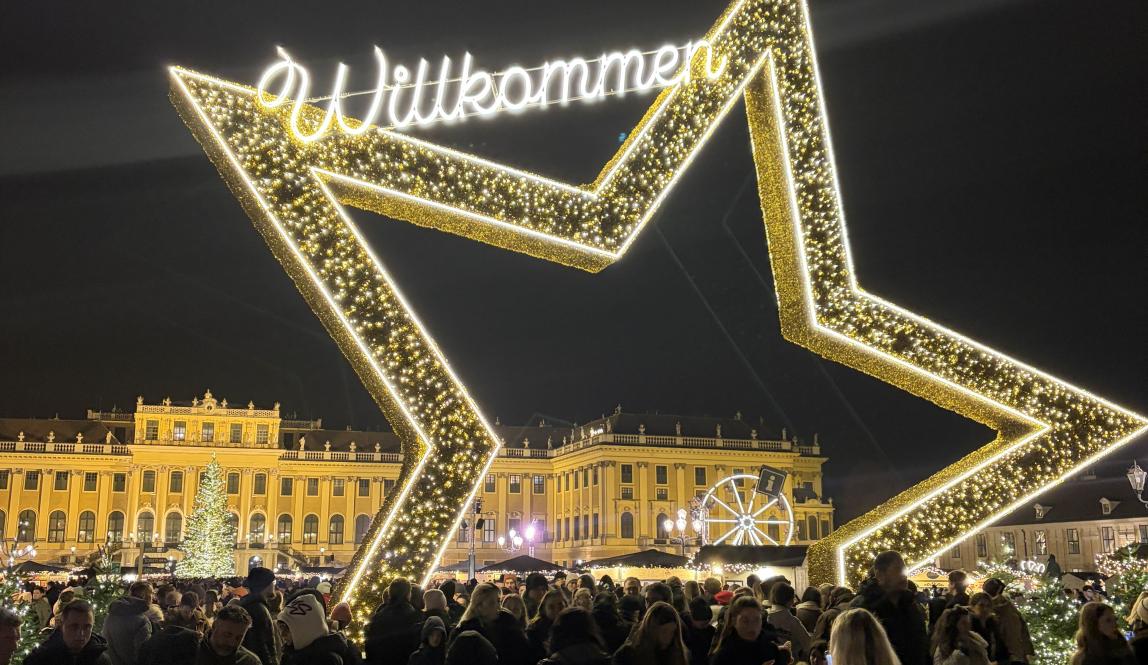 Christmas Markets in Vienna: My Thoughts! | IES Abroad