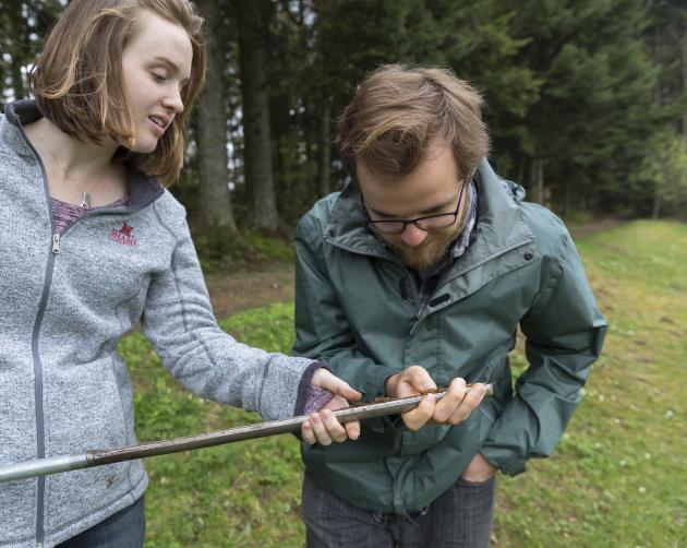 Environmental Studies & Sustainability Internships | IES Abroad